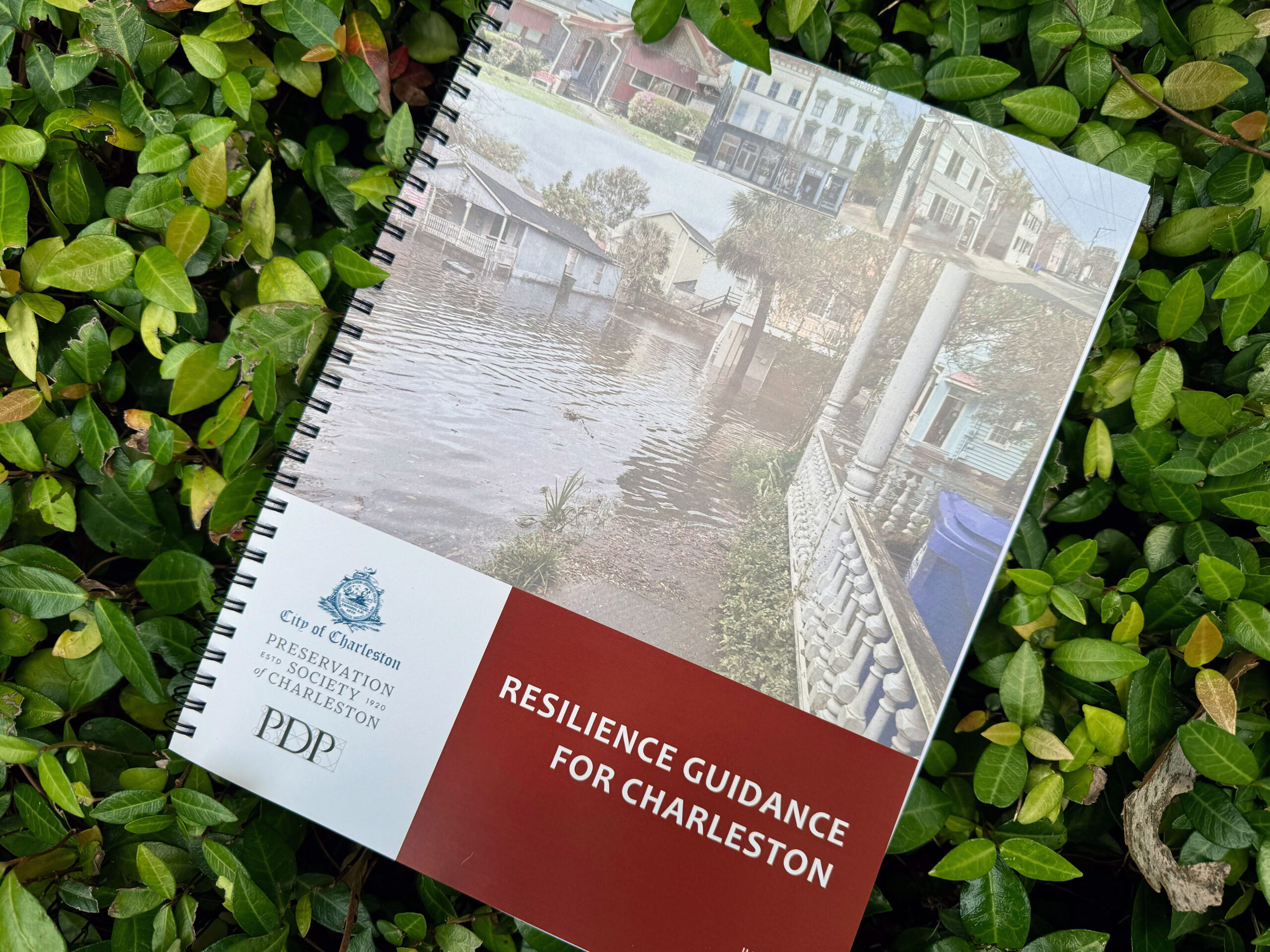 New PSC Report Empowers Residents to Improve Community Resilience ...